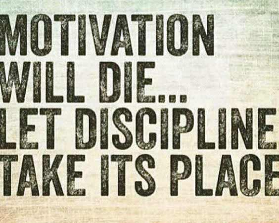 50 Beautiful Discipline Quotes You Must Read To Get Guarantee Success ...