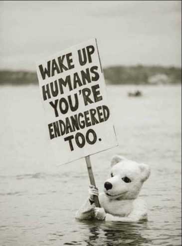 50 Best Humanity Quotes Which Will touch your Heart