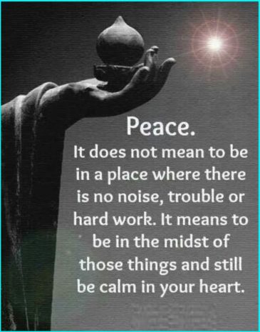 50 Great Peace Quotes About Life With Images