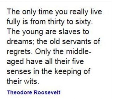 50 Best Theodore Roosevelt Quotes about Success